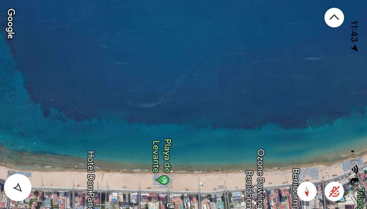 Misteriosa criatura marina sin identificar captada en aguas cristalinas ...