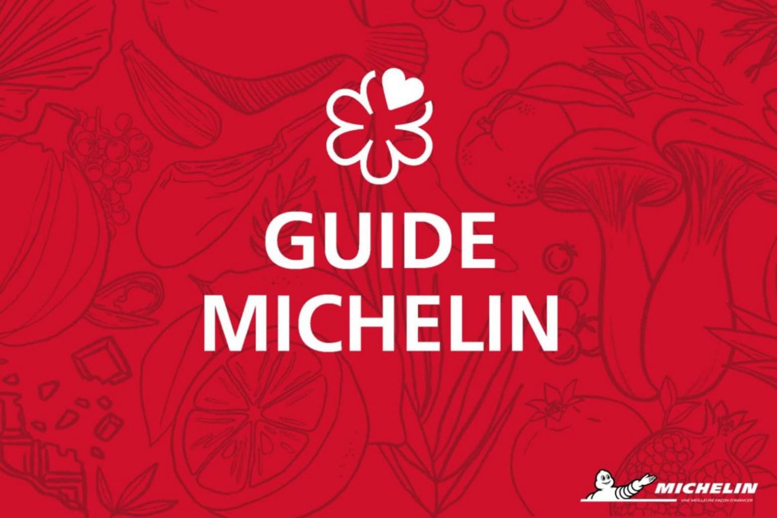 La Guía Michelin llega a Argentina: Descubre las provincias