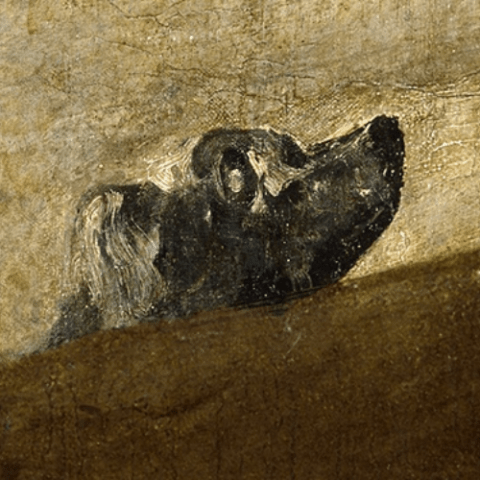 El perro semihundido