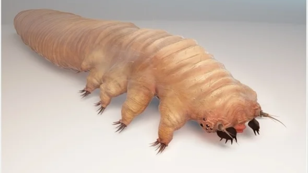 Demodex: un ácaro que vive y se alimenta de la piel