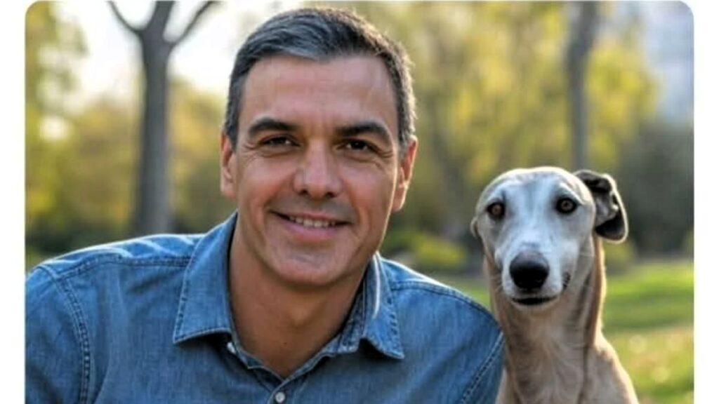 El galgo de Paiporta